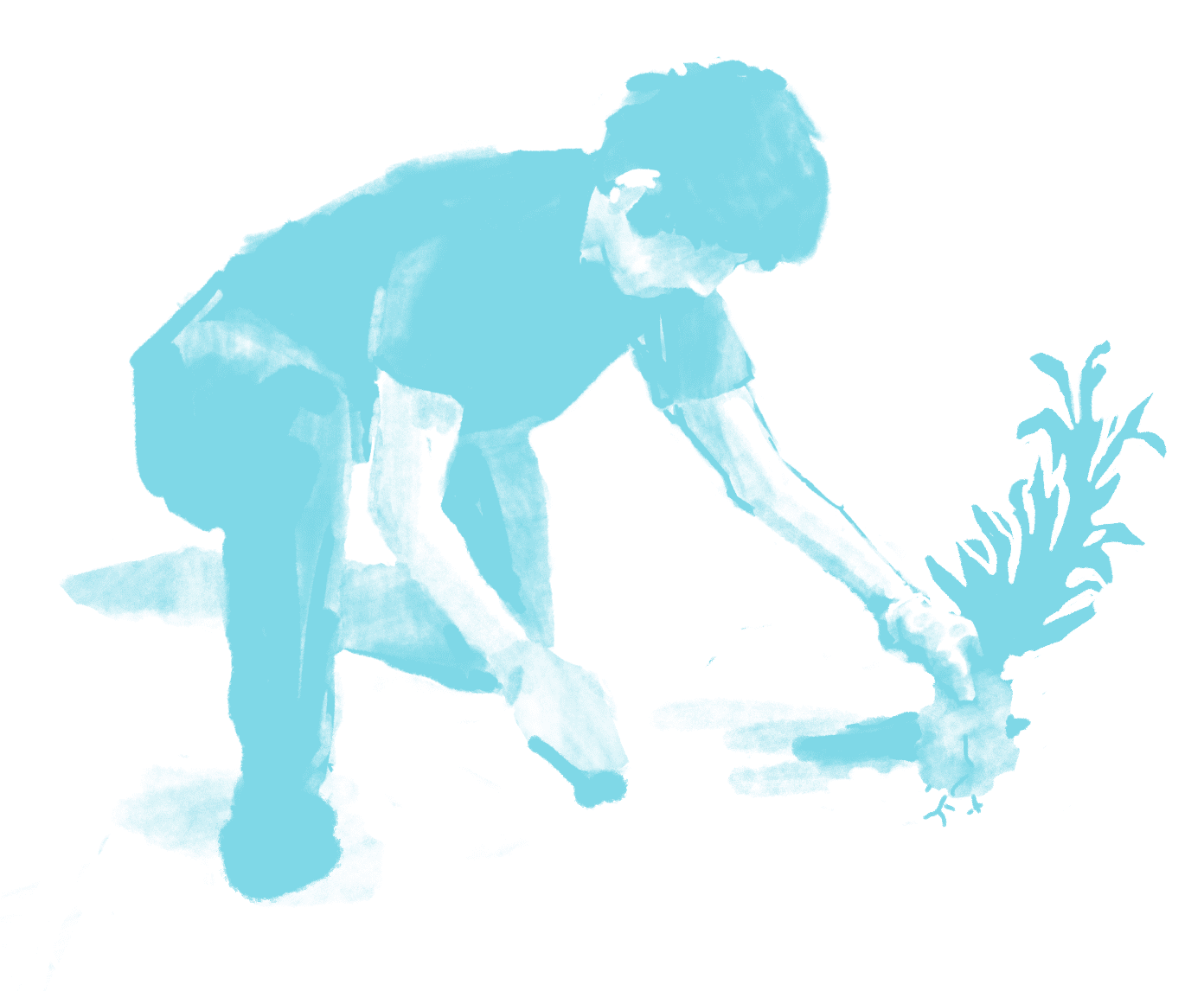 2024 NACD Poster Contest | Montana Association of Conservation Districts