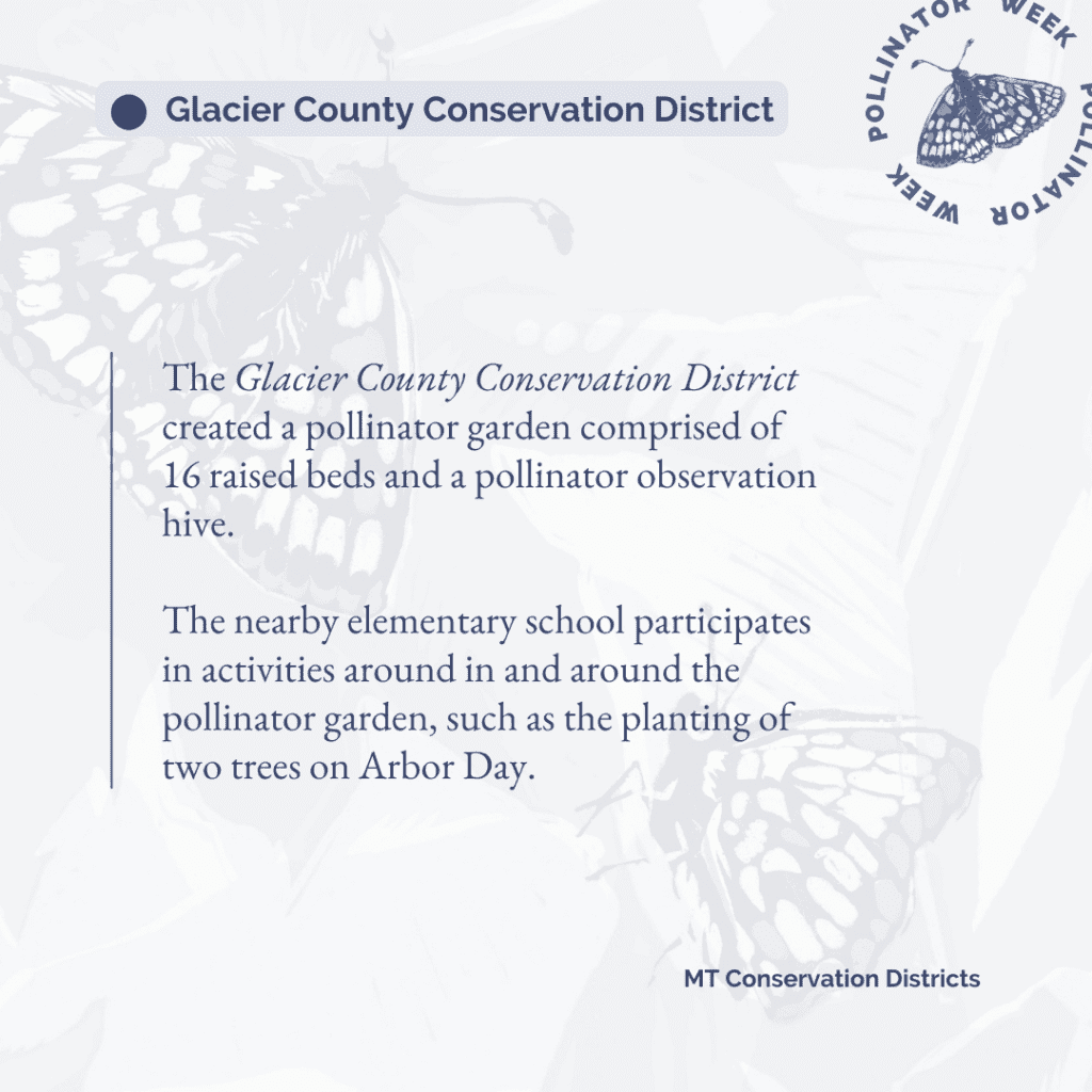 Pollinator Week – Montana Association of Conservation Districts