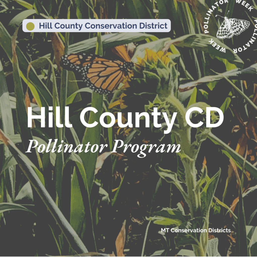 Pollinator Week – Montana Association of Conservation Districts