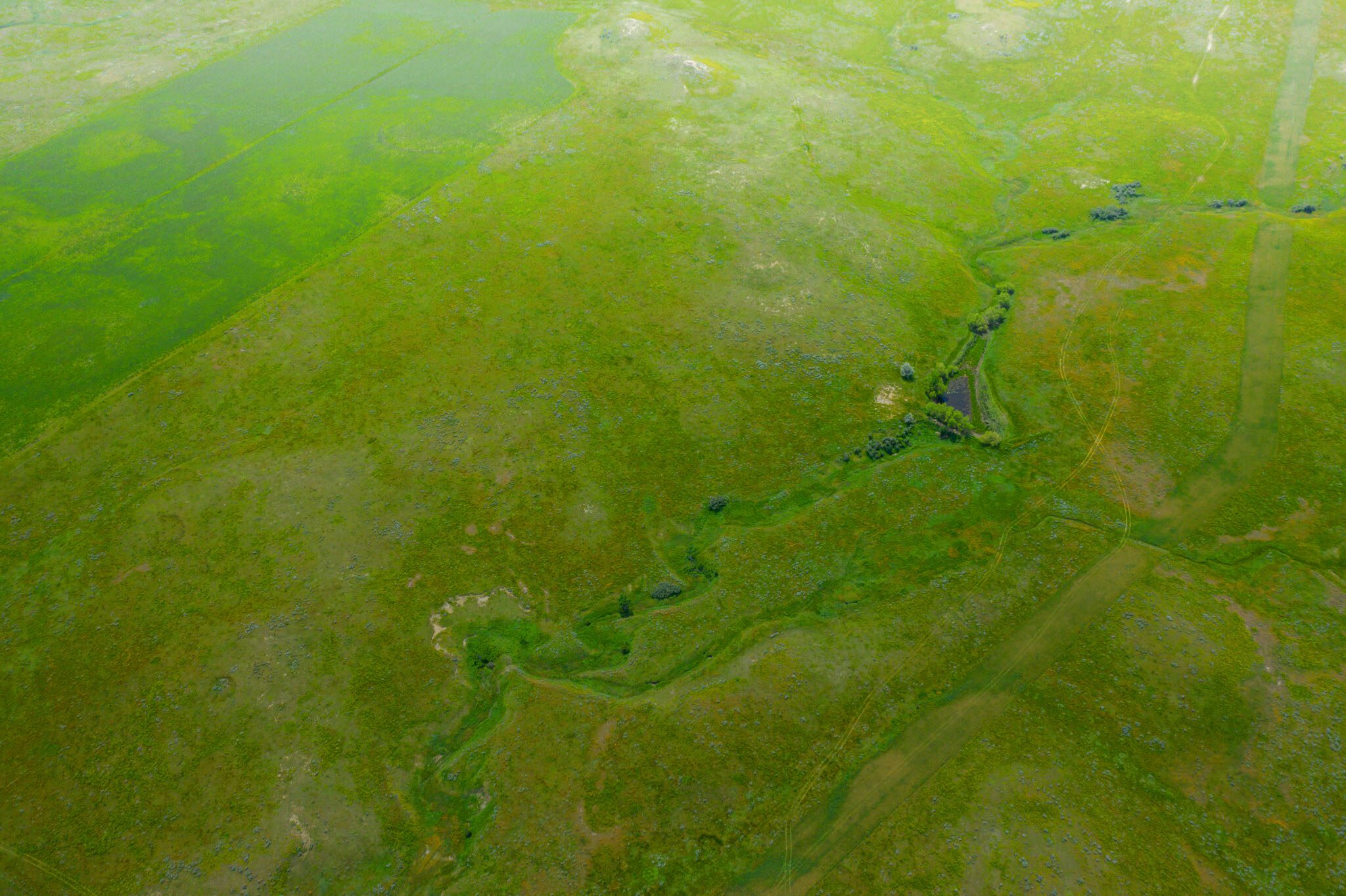 Home | Montana Association of Conservation Districts